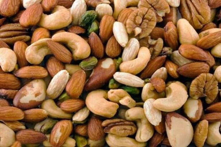 Nozes e castanhas: veja 10 variedades do alimento, calorias e a ...